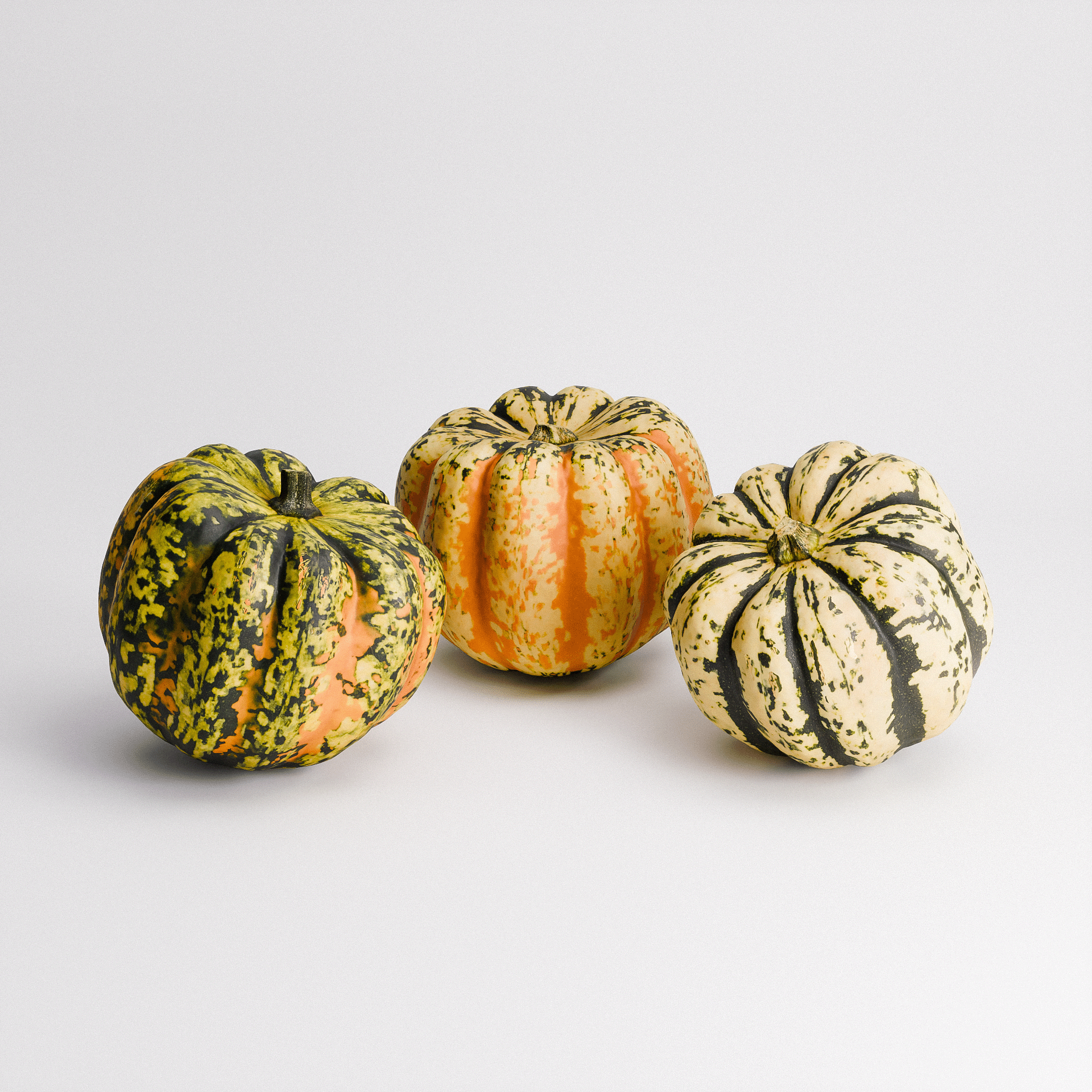 Carnival Squash Set 01 3D Model – Wunderform