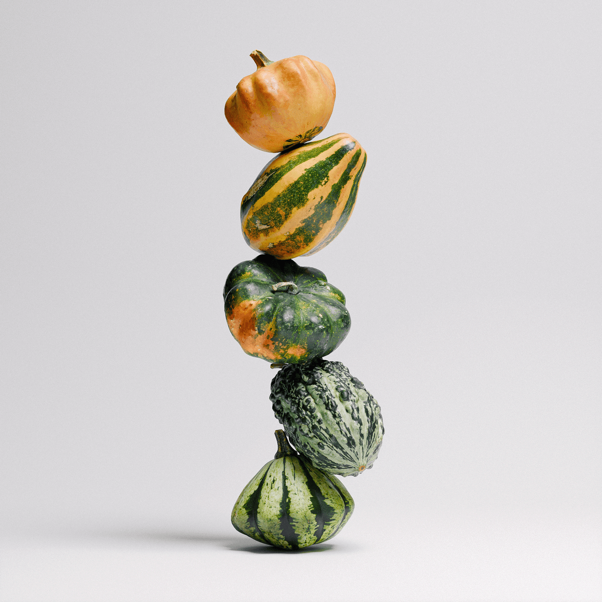 Gourds Set 01 3D Model – Wunderform