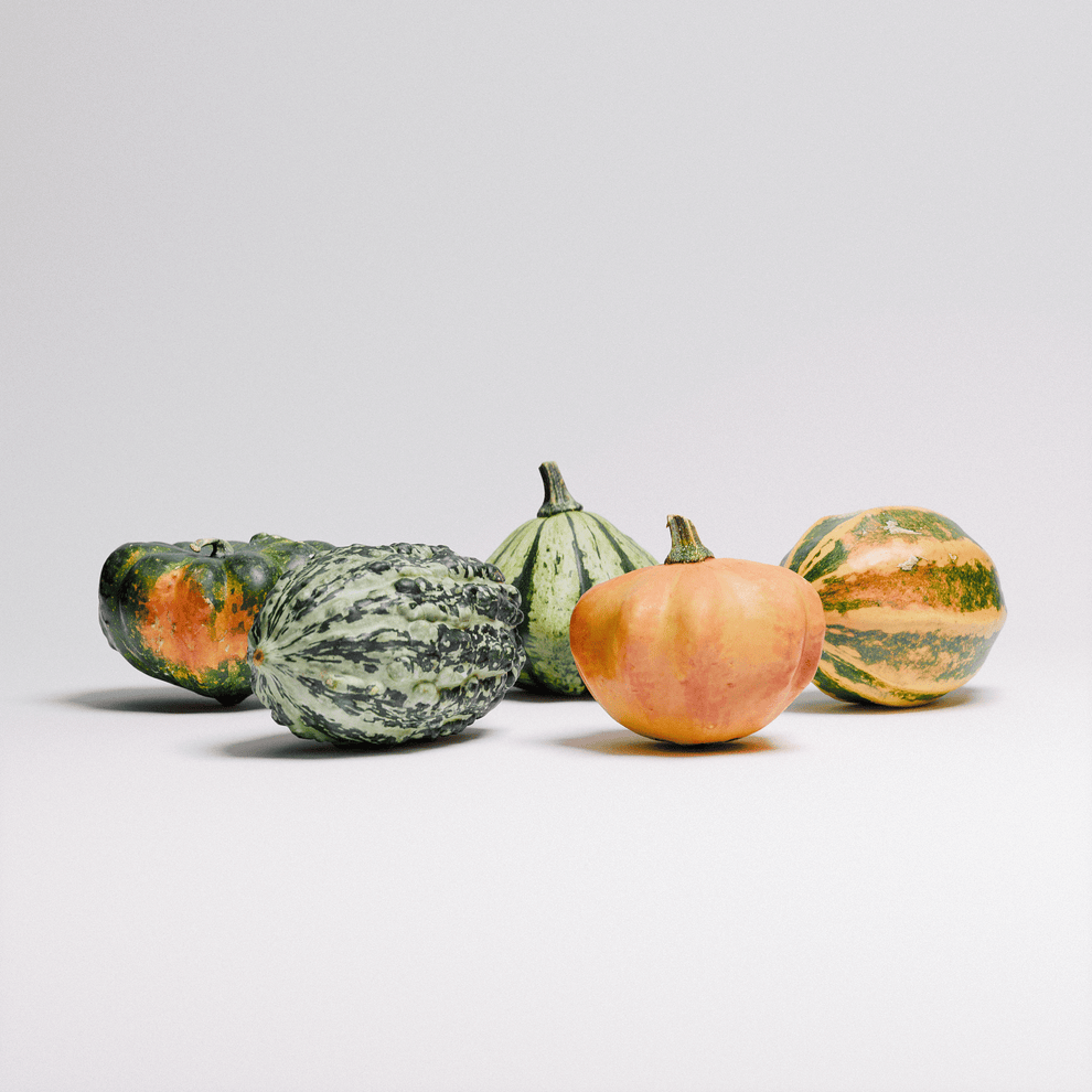 Gourds Set 01 3D Model – Wunderform