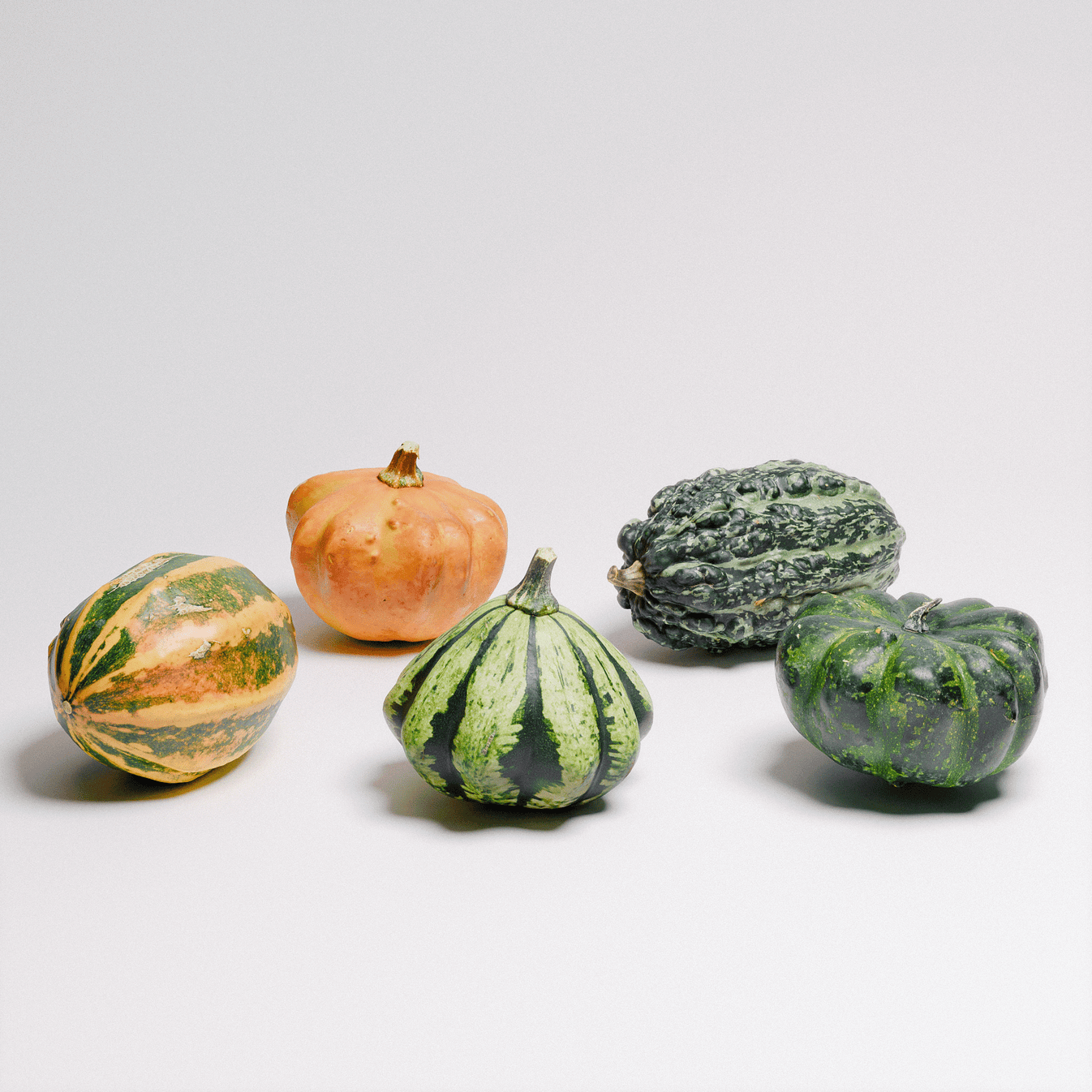 Gourds Set 01 3D Model – Wunderform