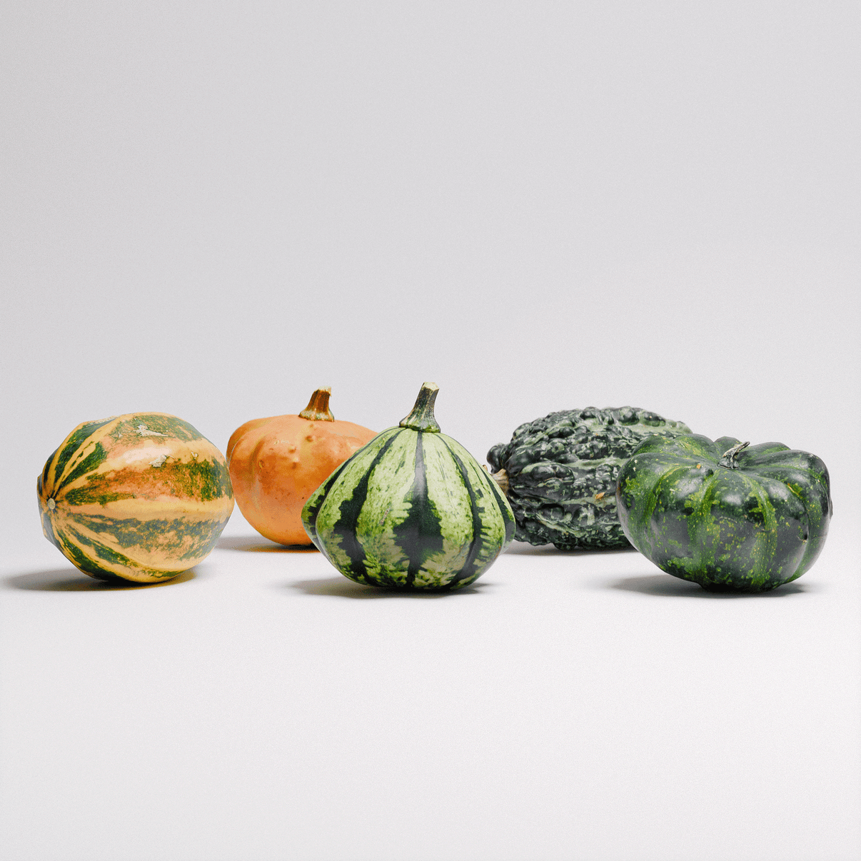 Gourds Set 01 3D Model – Wunderform