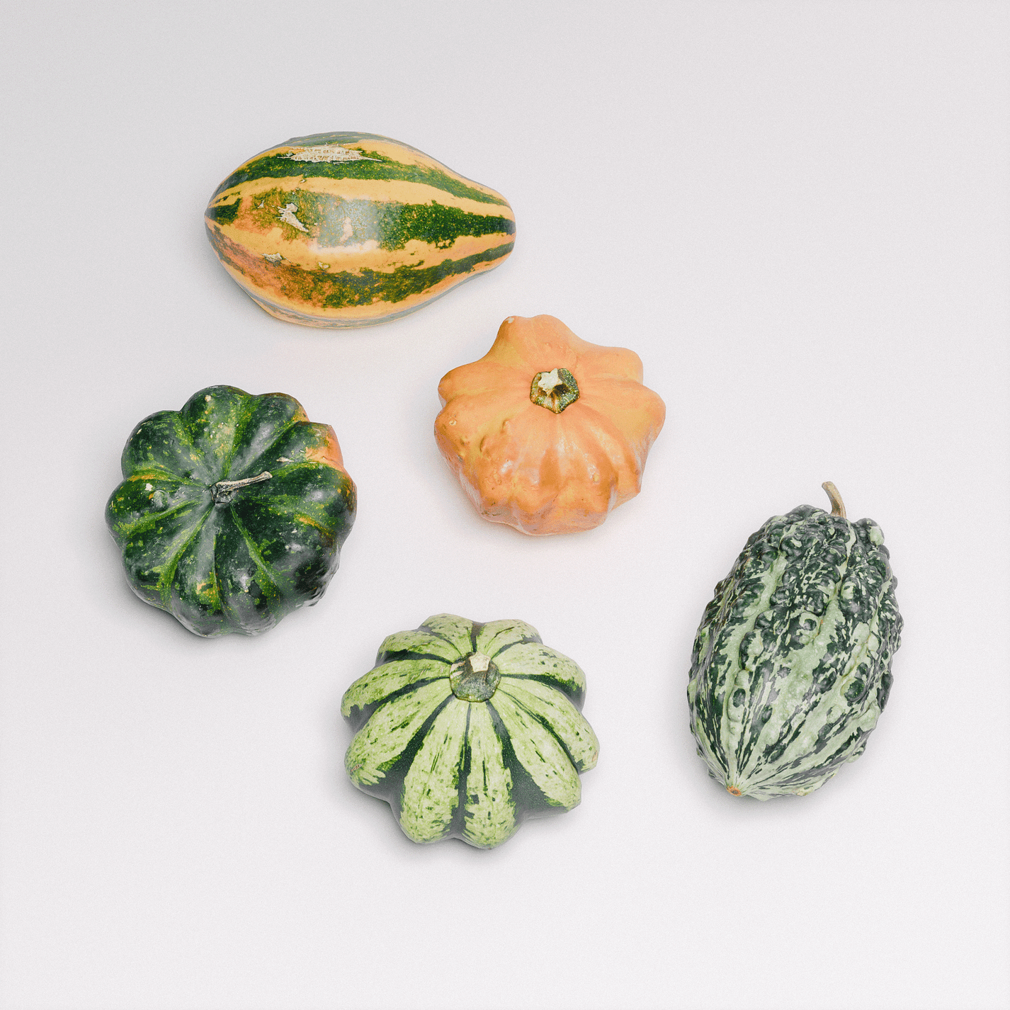 Gourds Set 01 3D Model – Wunderform