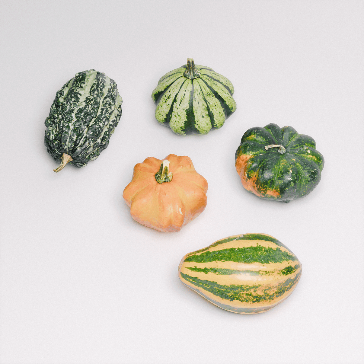 Gourds Set 01 3D Model – Wunderform